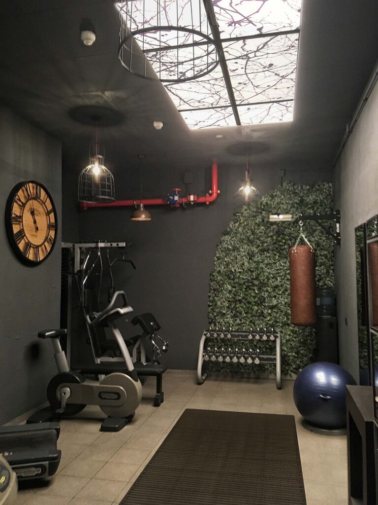 Beautiful small home gym ideas to inspire your own basement home gym ...